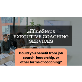 The Executive Job Search and Networking Strategies Package